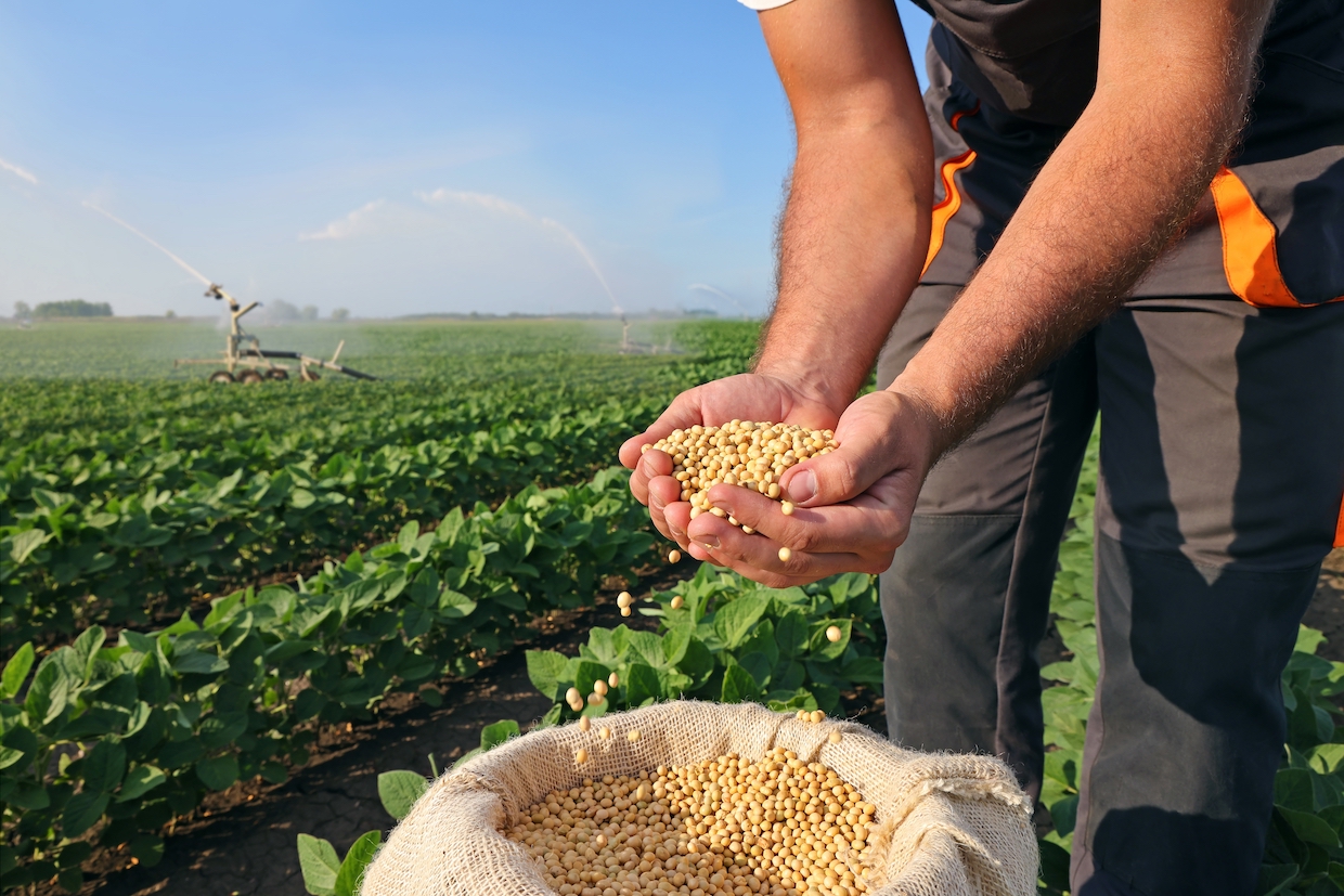 Agriculture Processing - PIA TOGO